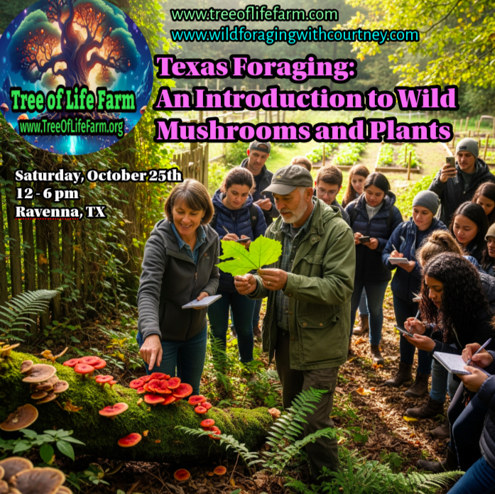 Wild Foraging with Courtney – Learn about edible & medicinal wild ...